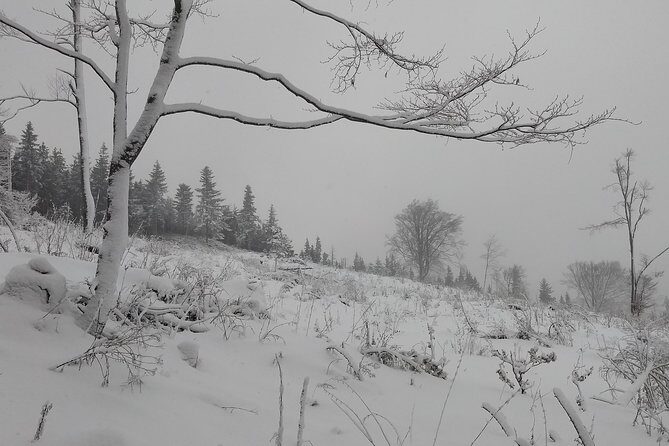 4-Hour Private Alpine Great George at High Wall Mountain from Vienna - Who Should Consider This Tour?