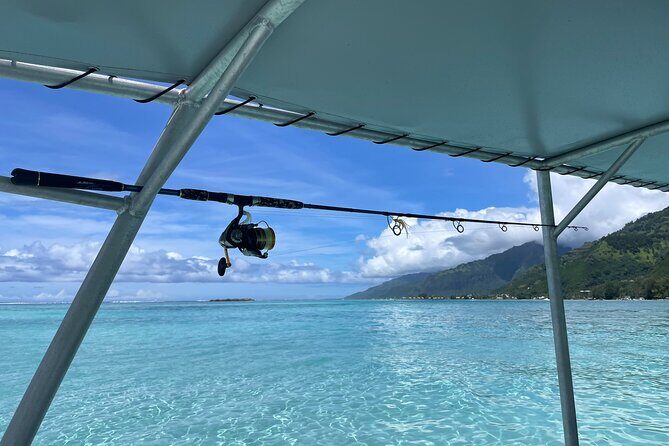 4 Hour Private Fishing Discovery Tour - What to Expect from the 4-Hour Private Fishing Discovery Tour