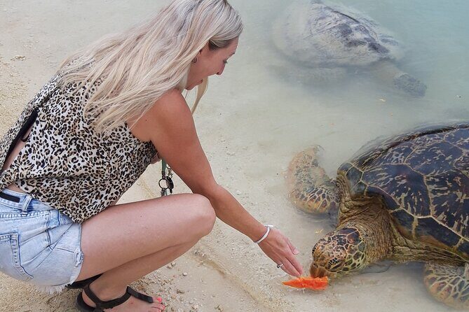 4 Hour: Private Tropical Trio Excursion (with Hotel Pickup) - Practical Details to Consider