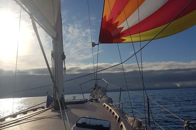 4-Hour Sailing Adventure on The Strait of Juan de Fuca - The Experience in Detail