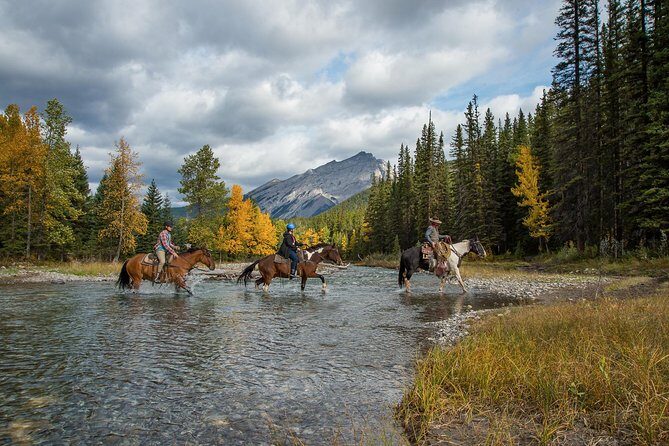 4 Hour Sulphur Mountain Horseback Ride - The Review Summary