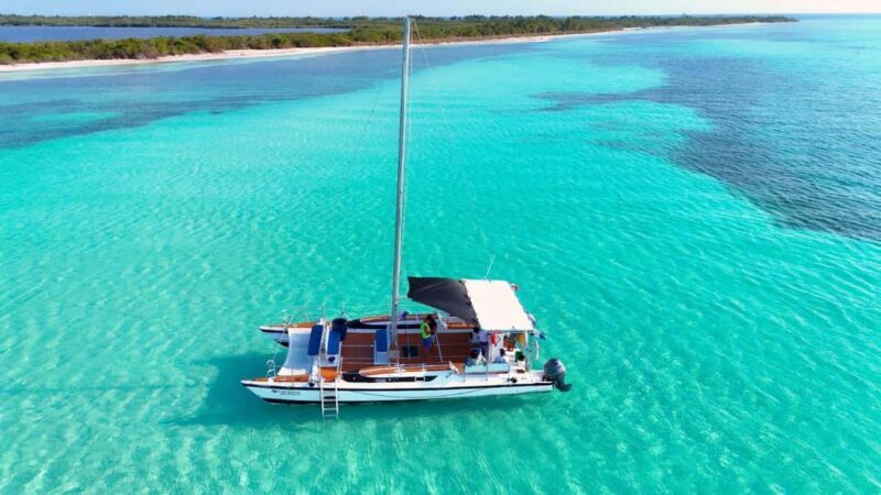 4 Hour Turtle Sanctuary Experience on a Luxury Catamarán - Introduction: What You Can Expect from This Tour