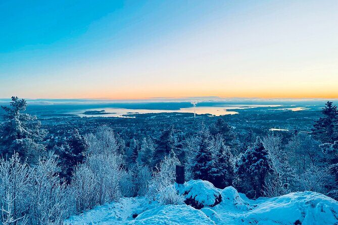 4 hours Best View of the Oslofjord Winter Edition - What Sets This Tour Apart?