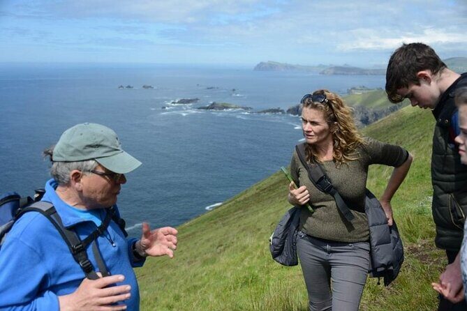 4 Hours Dingle Peninsula Private Tour - What Makes This Tour Stand Out?