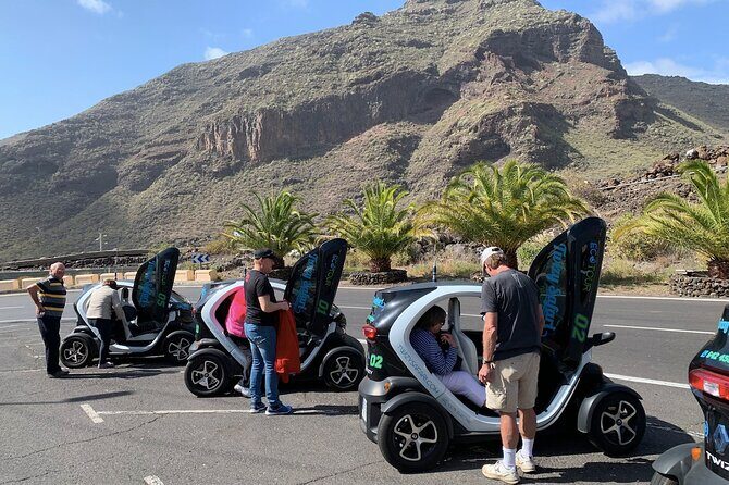 4 Hours Eco Safari Tour with Electric Car in Tenerife - The Electric Twizy: Driving in Style and Comfort