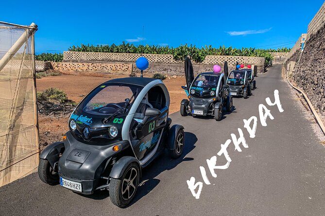 4 Hours Eco Safari Tour with Electric Car in Tenerife - The Sum Up: The Ideal Choice for Curious and Fun-Loving Visitors