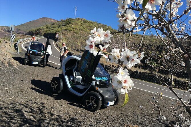 4 Hours Eco Safari Tour with Electric Car in Tenerife - FAQs