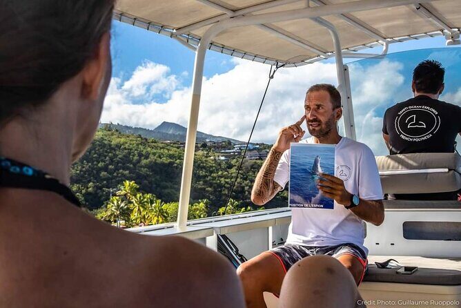 4 Hours of Humpback Whale Watching in Tahiti - Who Will Love This Tour?