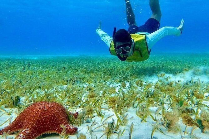 4 hours of shared snorkeling to El Cielo - Things to Consider Before Booking