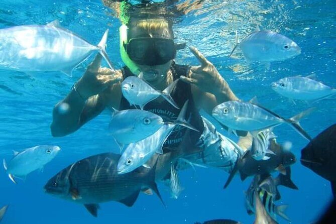 4 hours of shared snorkeling to El Cielo - FAQ