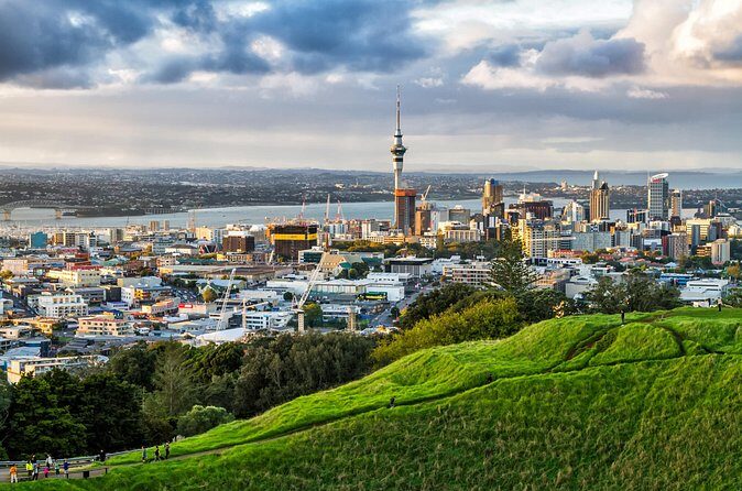 4 Hours Private City Tour in Auckland - Who Is This Tour Best For?