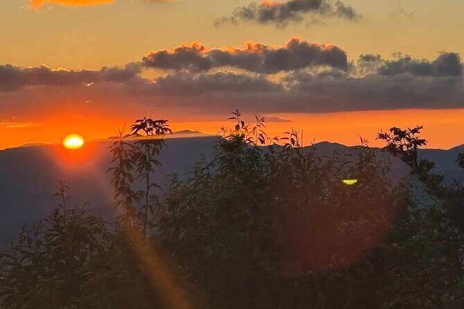 4 Hr Maggie Valley Slingshot Automatic Rental - Final Thoughts