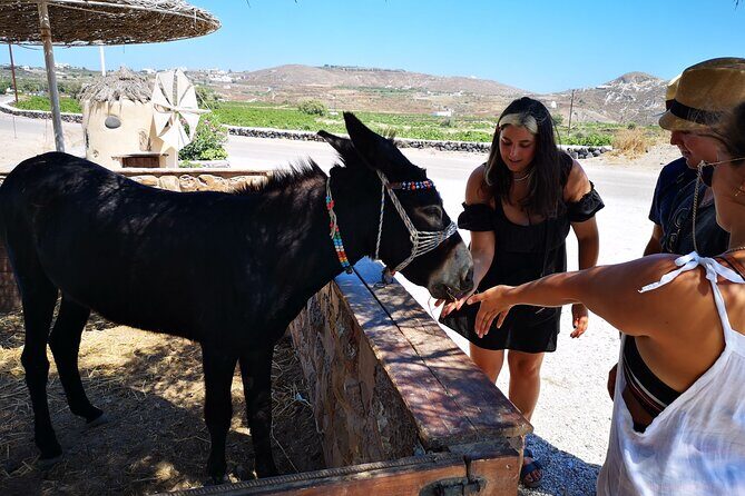 4 hrs PRIVATE island tour and photos, Oia and Blue domes - FAQ