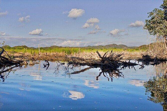 4 in 1 Tour - Mazunte, Cacao Factory, La Ventanilla National Park & Turtle Spawn - Authentic Oaxaca in One Day: 4-in-1 Tour Review