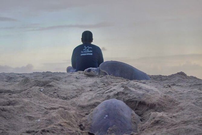 4 in 1 Tour - Mazunte, Cacao Factory, La Ventanilla National Park & Turtle Spawn - Breaking Down the Itinerary: What You Can Expect