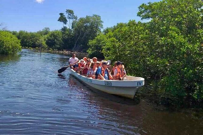 4 in 1 Tour - Mazunte, Cacao Factory, La Ventanilla National Park & Turtle Spawn - Final Thoughts