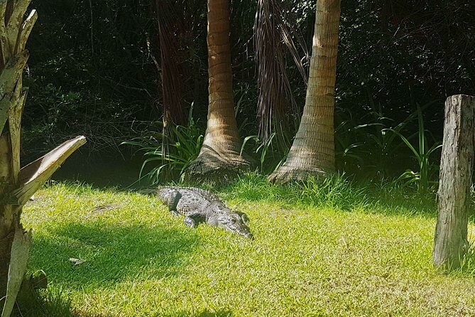 4 in 1 Tour - Mazunte, Cacao Factory, La Ventanilla National Park & Turtle Spawn - Final Takeaway