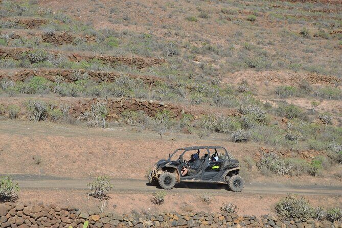 4-seater Mixed 2-hour Guided Buggy Volcano Tour in Lanzarote - Key Points