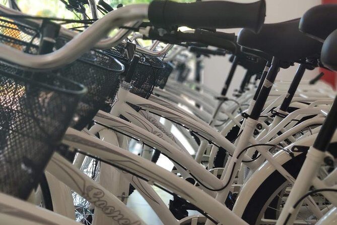 4 to 7 Day Beach Cruiser Rental (Up to 7 Days, includes Ulock) - Detailed Breakdown of the Experience