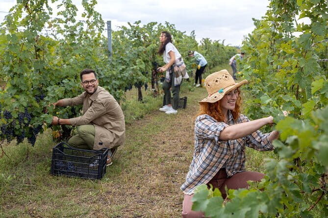 4 Wines & 2 Olive Oils Tasting in Chianti Winery with Tour - Final Thoughts