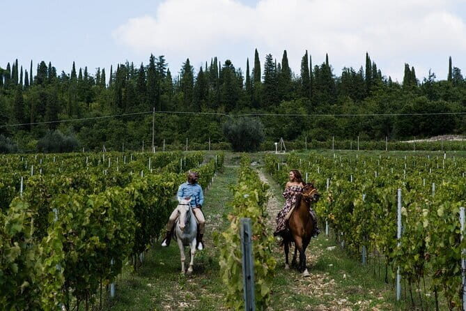 4 WINES TASTING in a Chianti Classico Farm (Visit/tour at the winery included) - FAQ