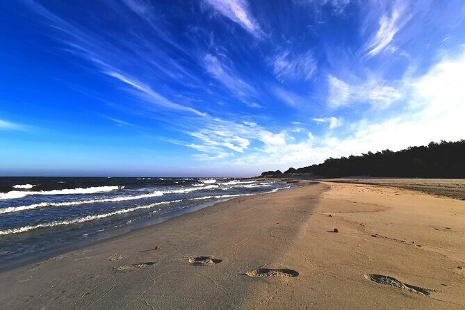 4 × 4 excursion to the beaches of Biderosa and Capo Comino - A Closer Look at the Itinerary