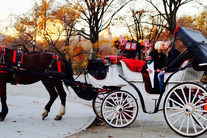 45 min Long VIP Central park carriage ride - Who Should Book This Tour?
