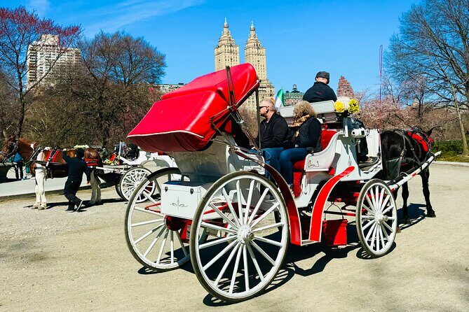 45 min Long VIP Central park carriage ride - Final Thoughts