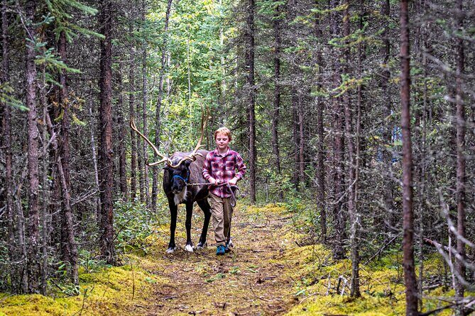 45 Minute Private Reindeer Tour - FAQs