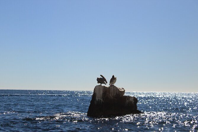 45 Minute Transparent Boat Ride to the Arch of Cabo San Lucas - The Experience in Detail