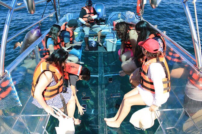 45 Minute Transparent Boat Ride to the Arch of Cabo San Lucas - Final Thoughts