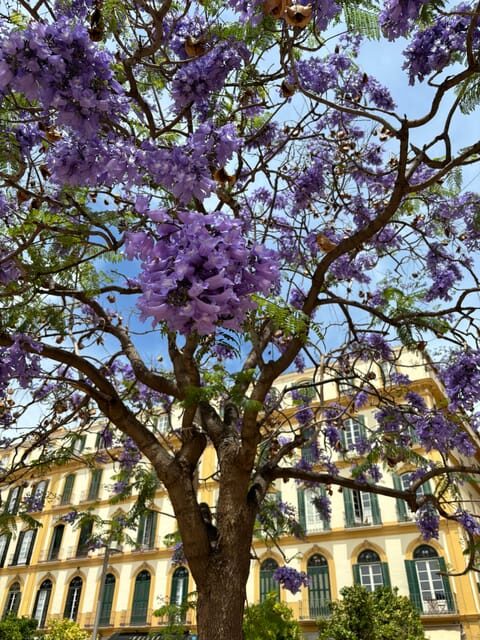 45 minutes flamenco dance class for family in Málaga - An In-Depth Look at the Flamenco Dance Class Experience