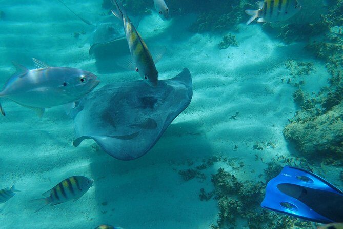 4H Lux 40' Catamaran All-Inclusive in Tulum and Playa del Carmen. - The Experience in Detail