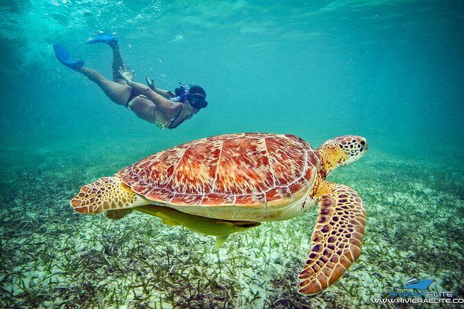 4H Private 38'Catamaran All-Inclusive in Tulum & Playa del Carmen - What’s Included and What to Consider