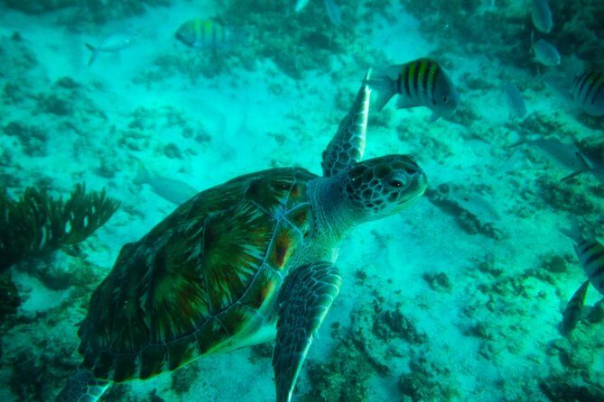 4H private 40' Yacht All-Inclusive in Tulum & Playa del Carmen - Final Thoughts: Is It Worth It?