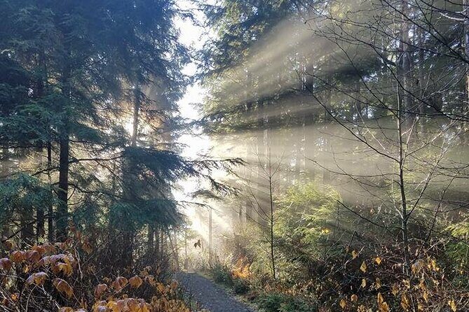 4hr Custom Private Tour of Ketchikan (14 People) Wildlife + More - Key Points