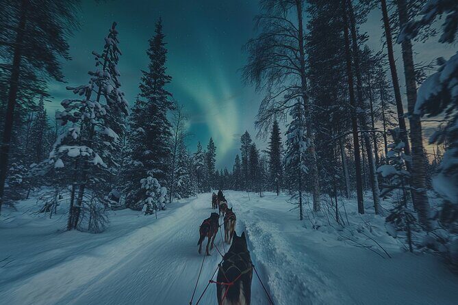 4hr Dog Sledding Tour under the Northern Lights - FAQs