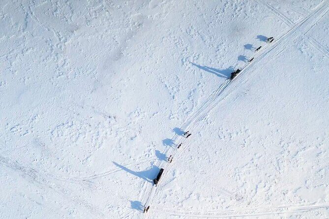 4hr Dog Sledding Trip in Gargia Valley - The Guides and Their Impact