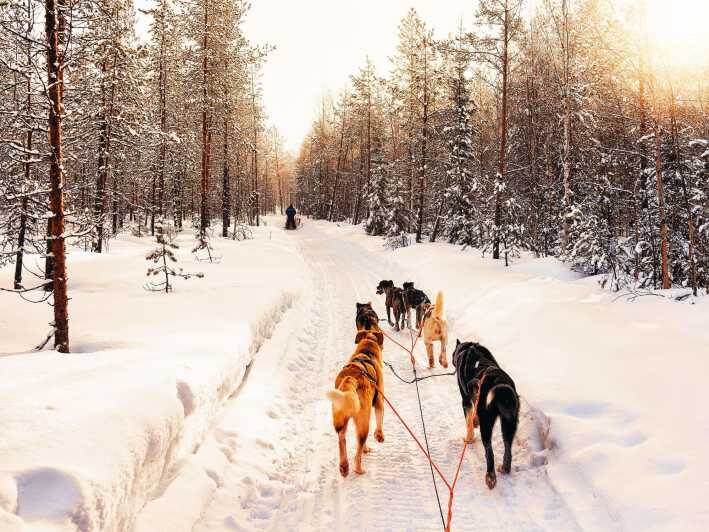 4hr Dog Sledding Trip on Finnmarksvidda - The Guides and Hospitality