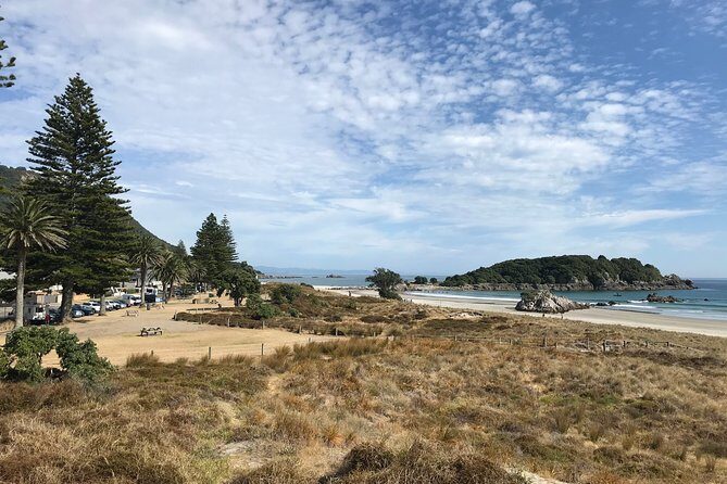 4hr Tauranga Scenic History and Tasting Tour FREE Kiwifruit Tasting - Practical Tips for the Tour
