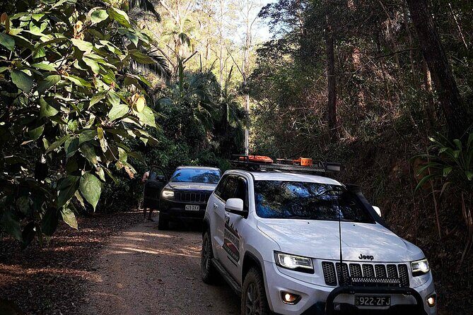 4WD Guided Day Trip In D'Aguilar National Park - The Experience at a Glance