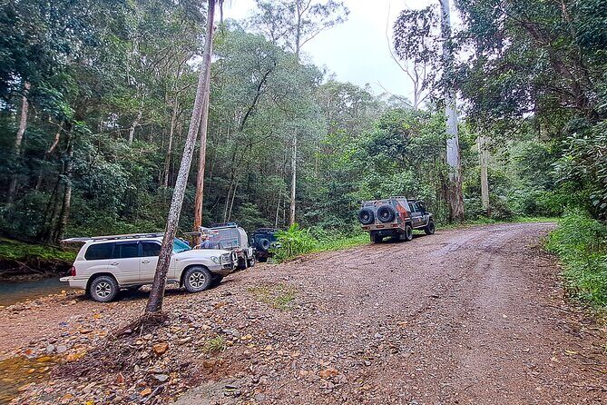 4WD Guided Day Trip In D'Aguilar National Park - The Scenic Highlights