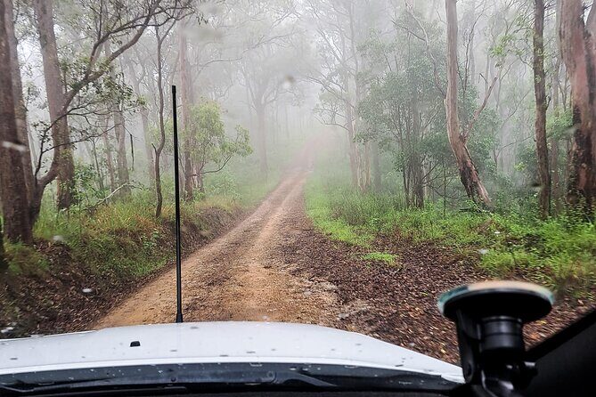 4WD Guided Day Trip In D'Aguilar National Park - Authentic Off-Road Fun