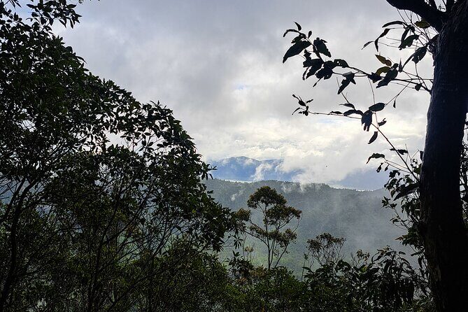 4WD Guided Day Trip In D'Aguilar National Park - Who Should Consider This Tour?