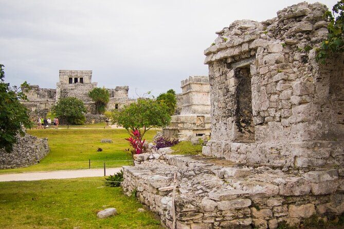 4x1 Explore TULUM Coba, Cenote and Mas, with transportation + Lunch. - What Travelers Say About the Tour