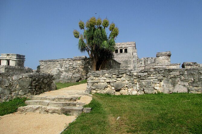 4x1 Tulum, Coba, Cenote & Playa del Carmen. Buffet lunch and transport included. - Who Should Consider This Tour?