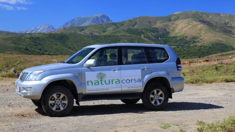 4x4 Agriates Desert and Beach Excursion from Calvi - Who Should Book This Tour?
