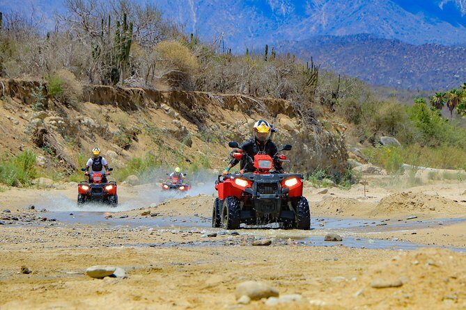 4x4 ATV Adventure with Tequila tasting and Mexican buffet lunch - Practical Tips & Considerations