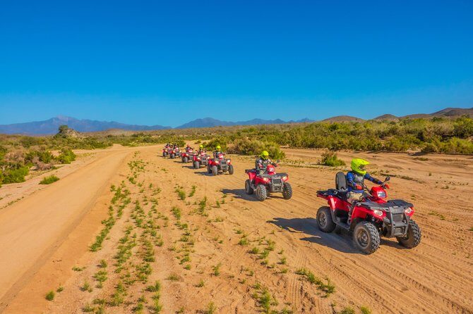4x4 ATV Adventure with Tequila tasting and Mexican buffet lunch - Who Should Consider This Tour?