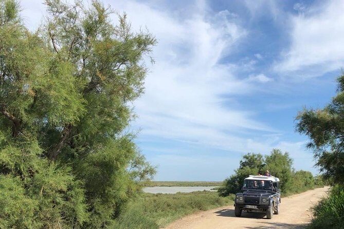 4x4 Camargue Safari 4h - Departure from Arles - An In-Depth Look at the Camargue 4x4 Safari
